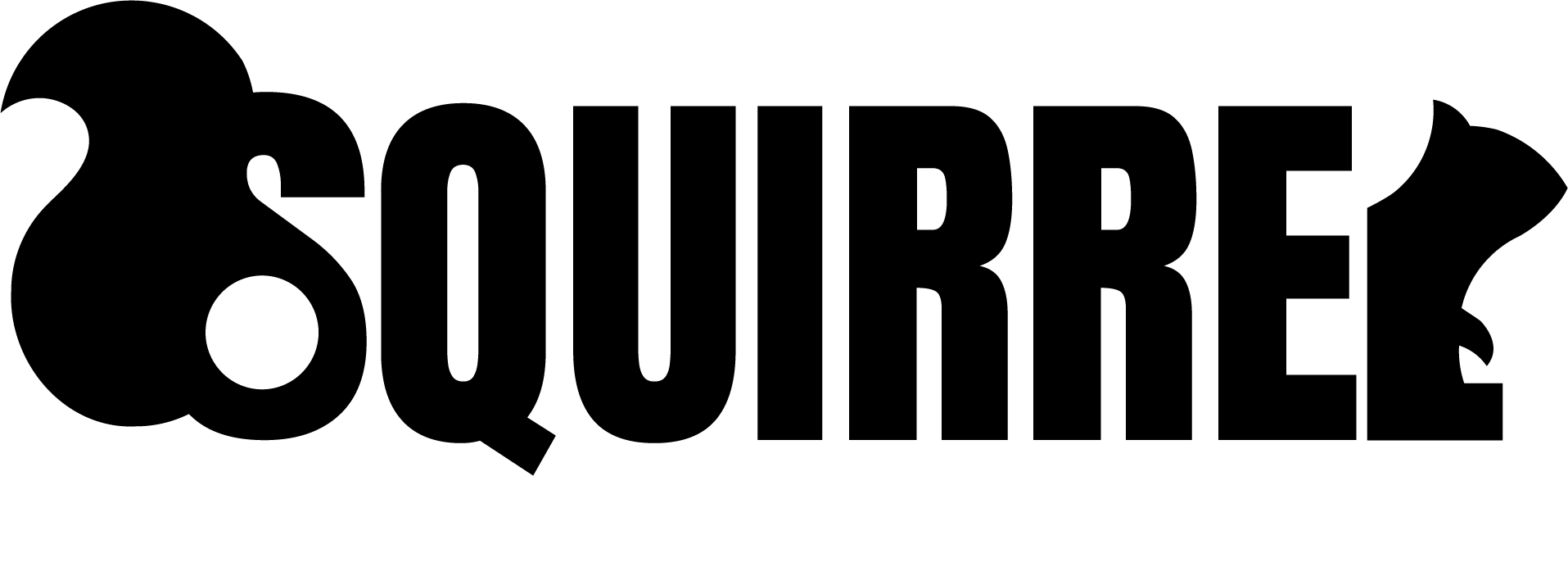 Squirrel : Best Software Company in India